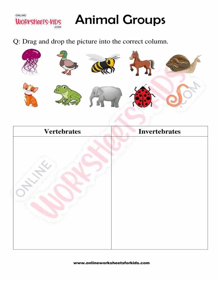 Animal Groups 07
