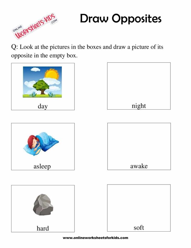 Draw The Opposite Of The Picture 2