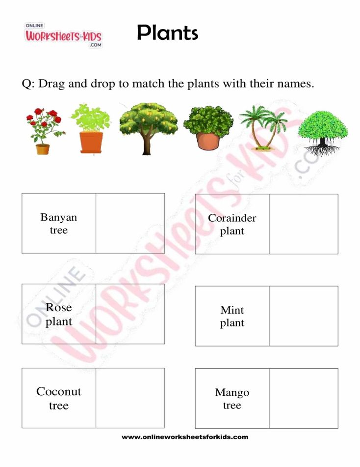 Plants 10